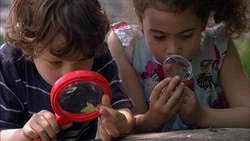 Episode 4281 | Muppet Wiki | Fandom