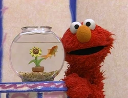 Elmo's World: Flowers, Plants & Trees | Muppet Wiki | Fandom