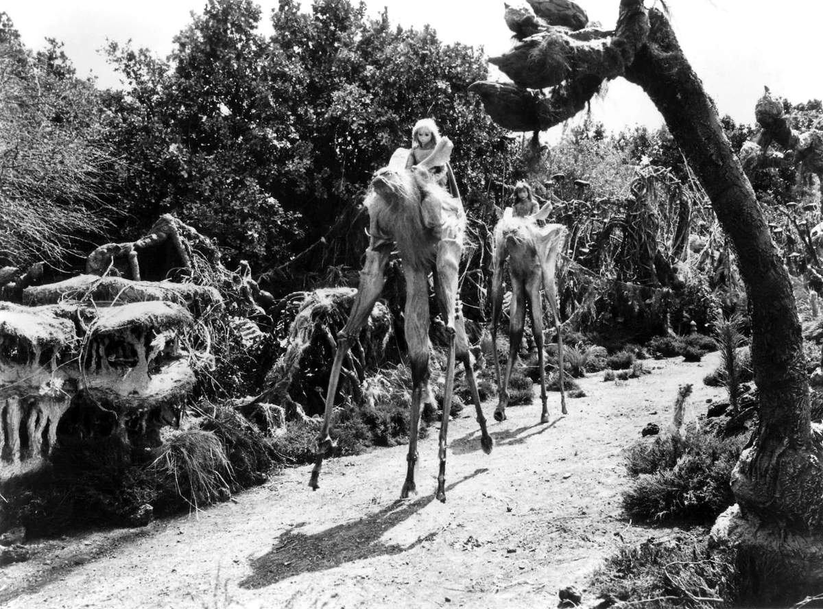 Barry Fowler | Muppet Wiki | Fandom