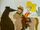 Cowboy Feelings Song