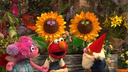 My Abby: Gardens | Muppet Wiki | Fandom