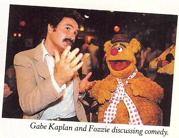 Welcome Back Kotter Gabe Kaplan