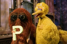 Episode 4171 | Muppet Wiki | Fandom