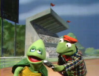 Turtles | Muppet Wiki | Fandom