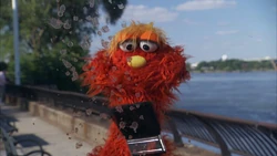 Episode 4316 | Muppet Wiki | Fandom