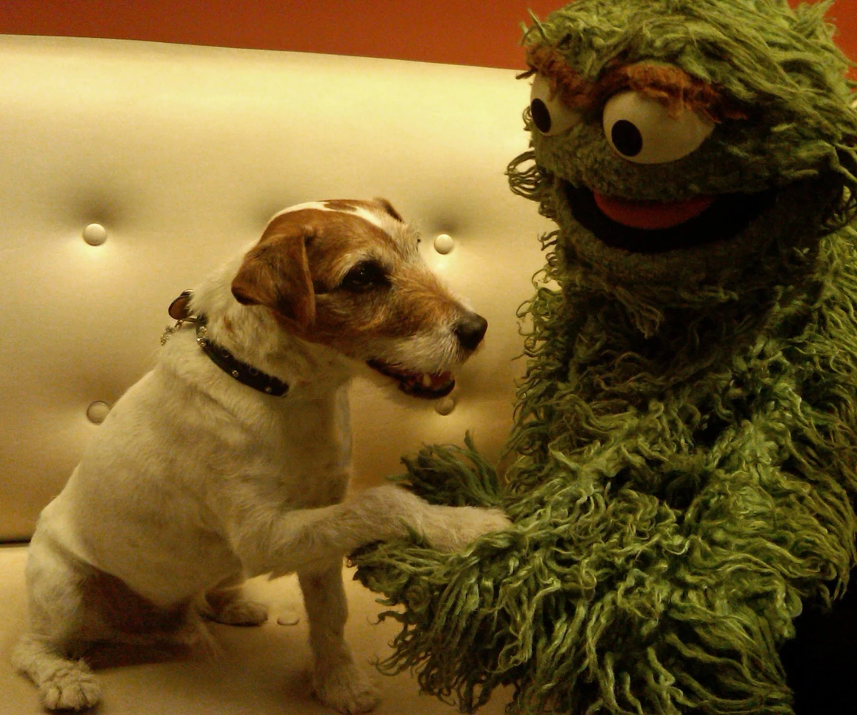 Uggie | Muppet Wiki | Fandom