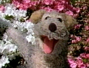 Dwayne (dog) | Muppet Wiki | Fandom