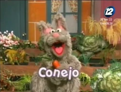 Episodio 1043 | Muppet Wiki | Fandom