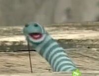 Worms | Muppet Wiki | Fandom