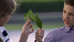 Episode 4270 | Muppet Wiki | Fandom