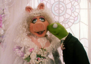 Quotes on the Muppets as adult-oriented characters | Muppet Wiki | Fandom