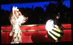 The Muppets Take the Bowl | Muppet Wiki | Fandom