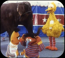 Circus Fun | Muppet Wiki | Fandom