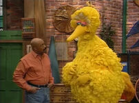 Christine Ferraro | Muppet Wiki | Fandom