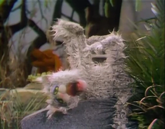 Cat Gut | Muppet Wiki | Fandom