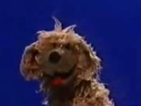 Rufus (disambiguation) | Muppet Wiki | Fandom