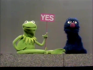 Teaching Grover YES and NO (transcript) | Muppet Wiki | Fandom