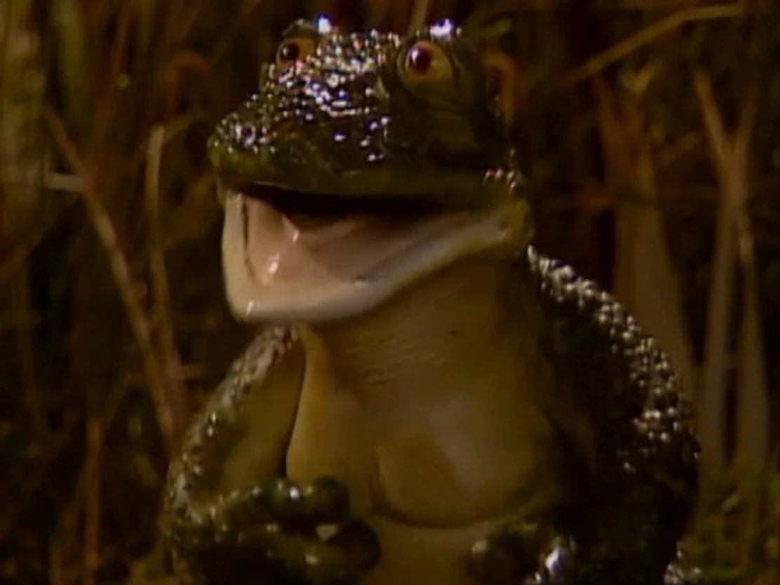 Frog (Mother Goose Stories) | Muppet Wiki | Fandom
