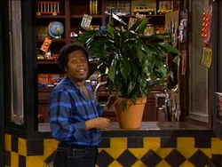 Episode 2374 | Muppet Wiki | Fandom