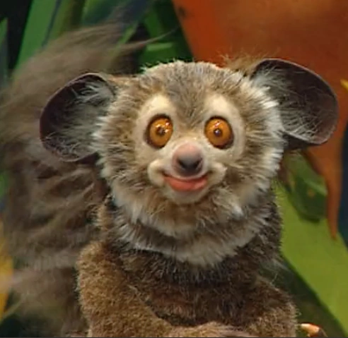 Billy Bob the Lemur | Muppet Wiki | Fandom