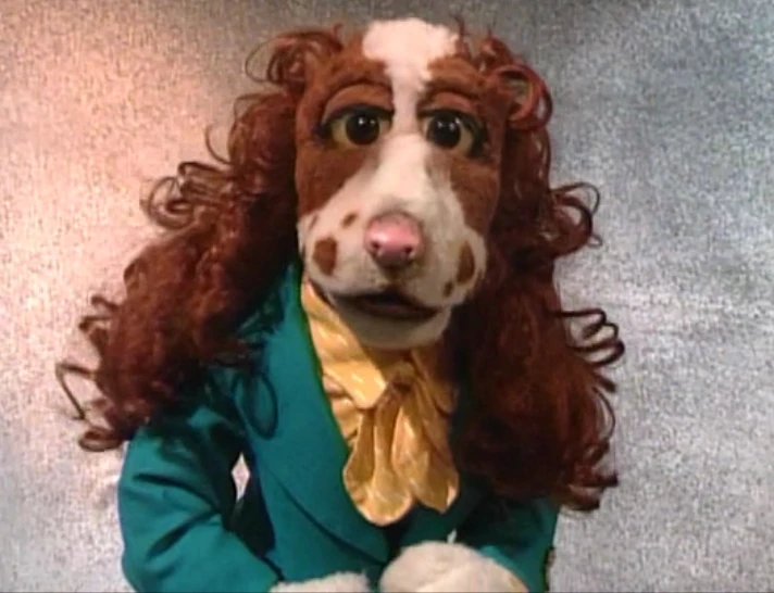 Terri Springer | Muppet Wiki | Fandom