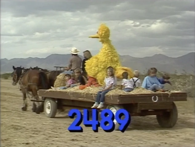 Episode 2489 | Muppet Wiki | Fandom