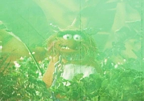 Yoda | Muppet Wiki | Fandom