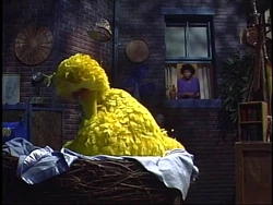 Episode 3041 | Muppet Wiki | Fandom