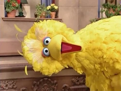 Episode 4003 | Muppet Wiki | Fandom