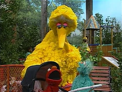 Episode 3160 | Muppet Wiki | Fandom