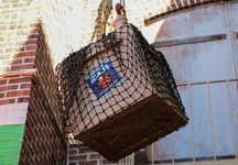 Muppets Courtyard | Muppet Wiki | Fandom