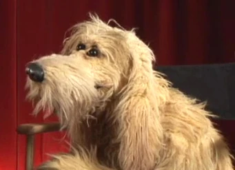 The Shaggy Dog | Muppet Wiki | Fandom