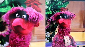 Pirate Frackles | Muppet Wiki | Fandom