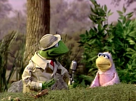 Cathi Rosenberg-Turow | Muppet Wiki | Fandom