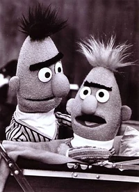 Brad | Muppet Wiki | Fandom