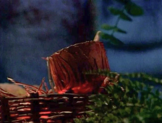 Doogan Berry Tea | Muppet Wiki | Fandom