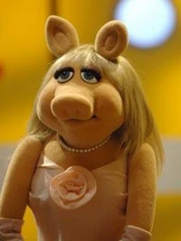 Muppets TV | Muppet Wiki | Fandom
