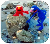 Green Earth Blue Skies | Muppet Wiki | Fandom