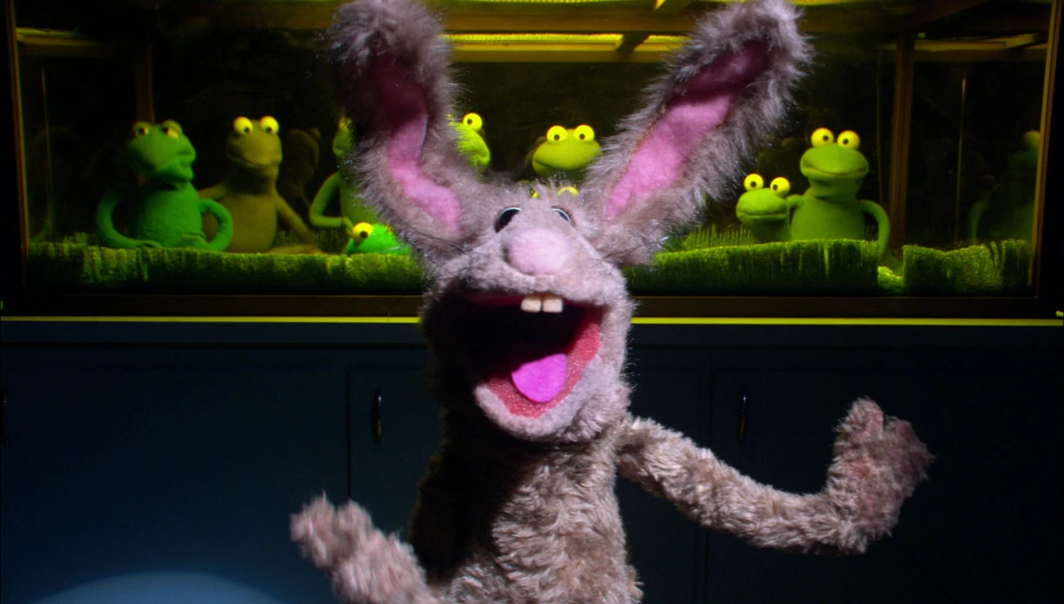 Jack Rabbit | Muppet Wiki | Fandom