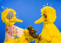Granny Bird | Muppet Wiki | Fandom