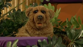 Sandbox:Bambaloo characters | Muppet Wiki | Fandom