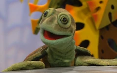 Turtles | Muppet Wiki | Fandom