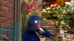 Episode 4716 | Muppet Wiki | Fandom