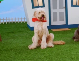 Frank (Noodle Family) | Muppet Wiki | Fandom