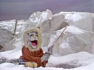 Catgut | Muppet Wiki | Fandom