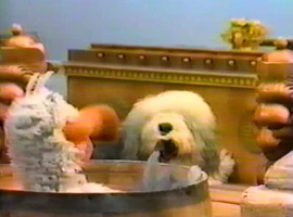 Max | Muppet Wiki | Fandom