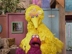 Episode 4010 | Muppet Wiki | Fandom