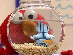 Elmo's World: Feet | Muppet Wiki | Fandom