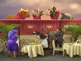 Can You Guess What Happened? | Muppet Wiki | Fandom