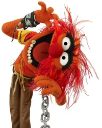 Animal | Wiki Muppets | Fandom